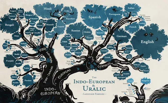 From Regional Dialect to Global Business Language: The Remarkable ...